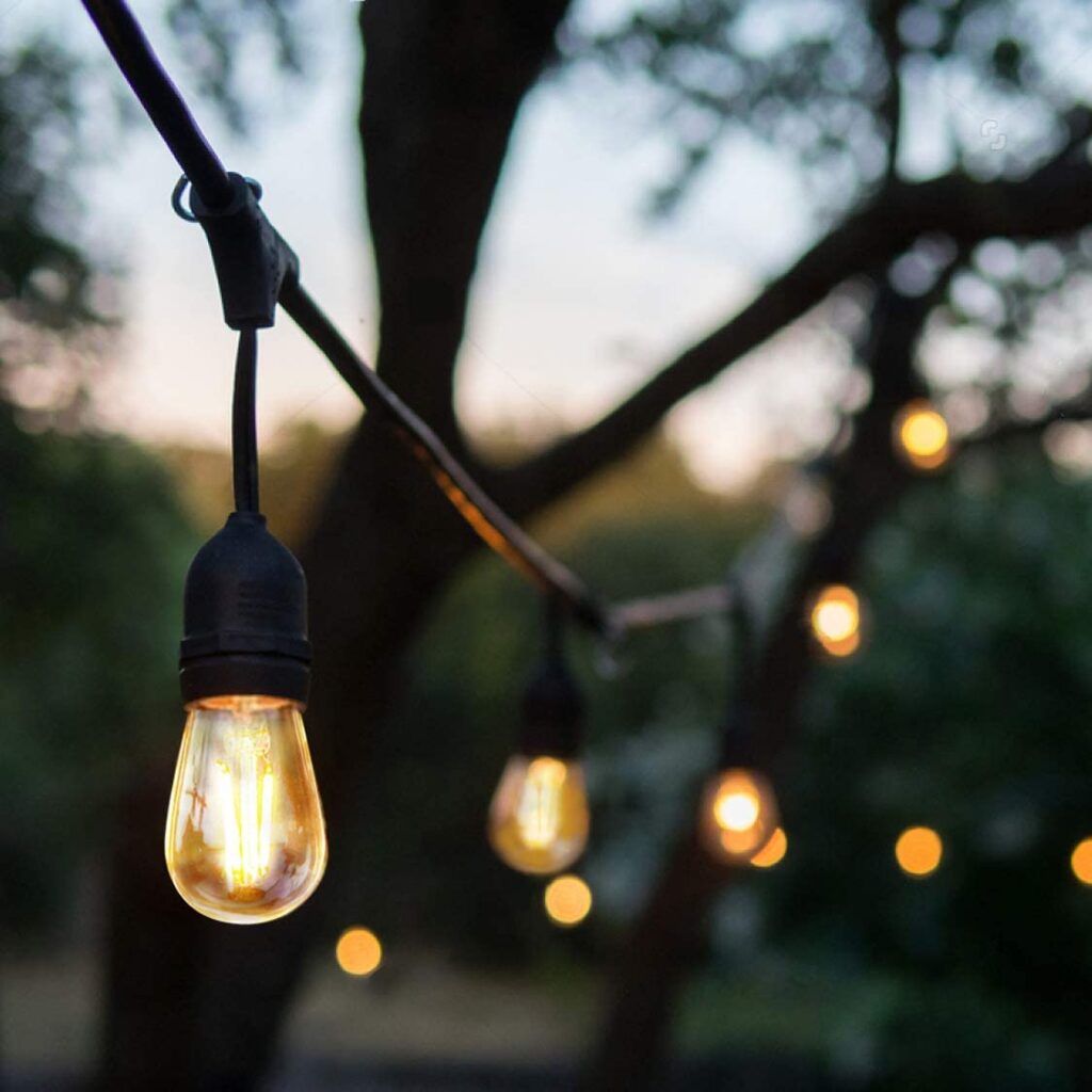 Vintage Edison LED String Lights – Four Season Party Rentals